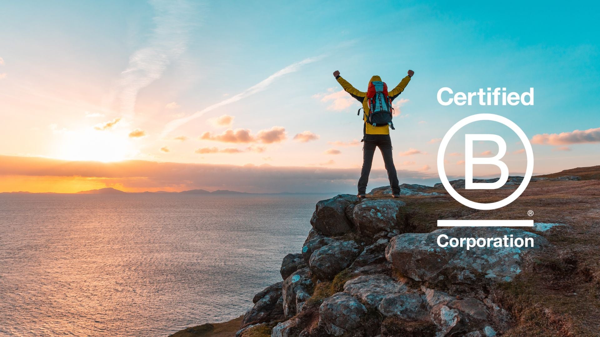 Our journey to become B Corp Certified – Supplement Hub Global