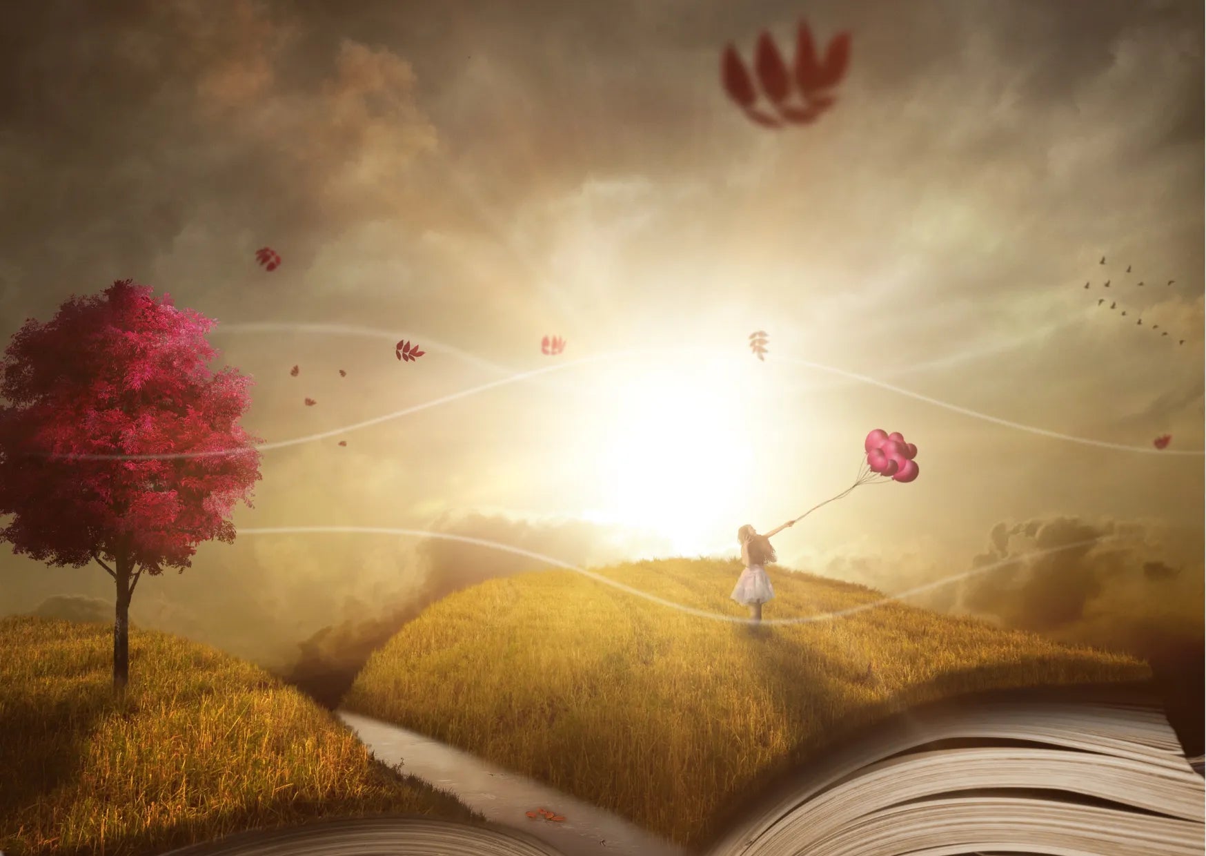 Lucid Dreams Supplement Hub Global