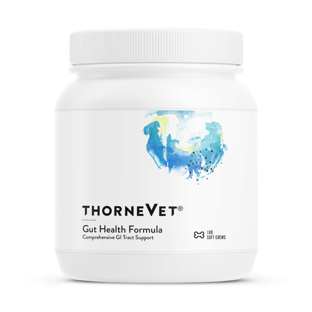 Gut Health Formula - 180 Soft Chewables | Thorne Vet | Supplement Hub ...