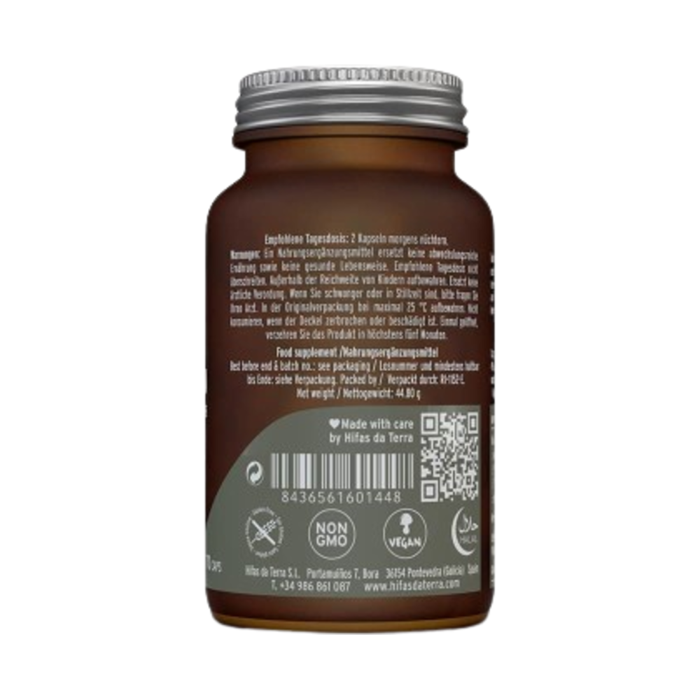 Mico-Leo (Lion's Mane) - 70 Capsules | Hifas da Terra | Supplement Hub ...